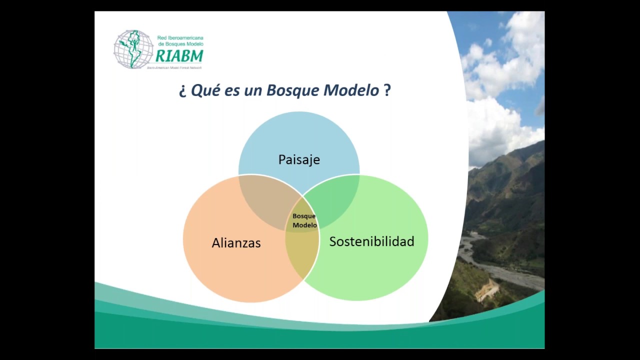 Gobernanza forestal y desarrollo sostenible: la experiencia de la Red ...